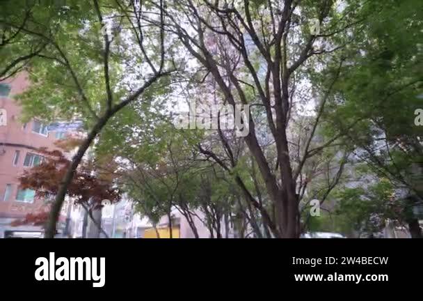 SEOUL, SOUTH KOREA - MAY 20, 2019: Korean city street with roads, cars ...