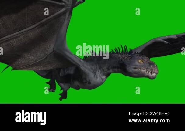 Dragon Flying on Green Screen Stock Video Footage - Alamy