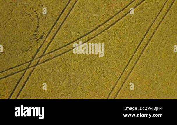 Wheat field patterns Stock Videos & Footage - HD and 4K Video Clips - Alamy