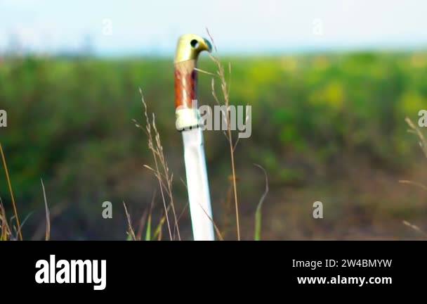 Holding sword cut Stock Videos & Footage - HD and 4K Video Clips - Alamy