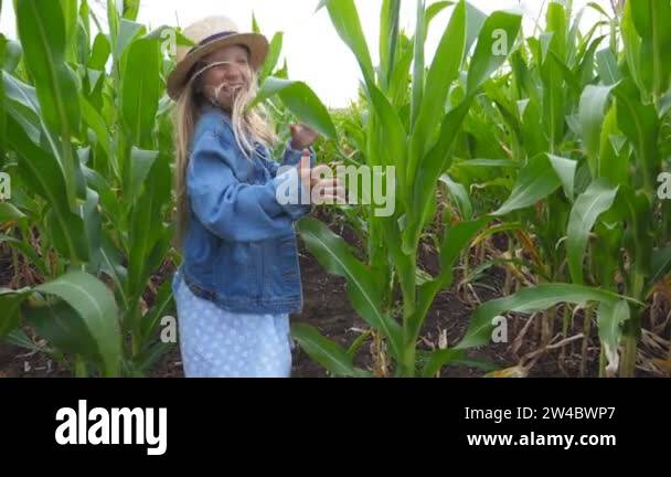 Little girl and boy playing in catch up through corn field. Cute ...