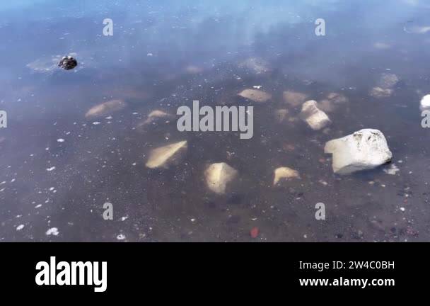 4k Dirty water. Foam and oil spots on water surface. Water pollution ...