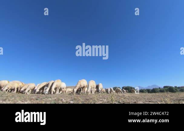 Tableland plateau Stock Videos & Footage - HD and 4K Video Clips - Alamy