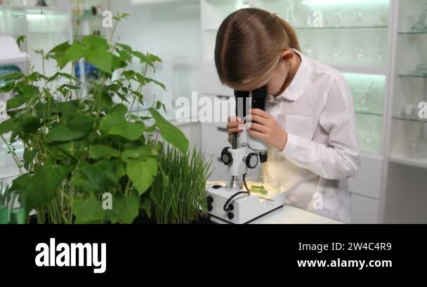 Lab children Stock Videos & Footage - HD and 4K Video Clips - Alamy