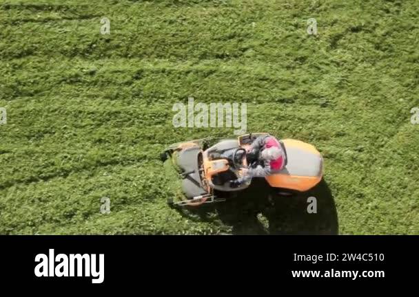 Russia Peterhof 14.09.2020.man in a work uniform mows lawn with a ...