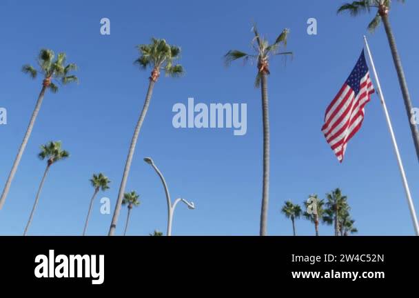 Palms and american flag, Los Angeles, California USA. Summertime ...