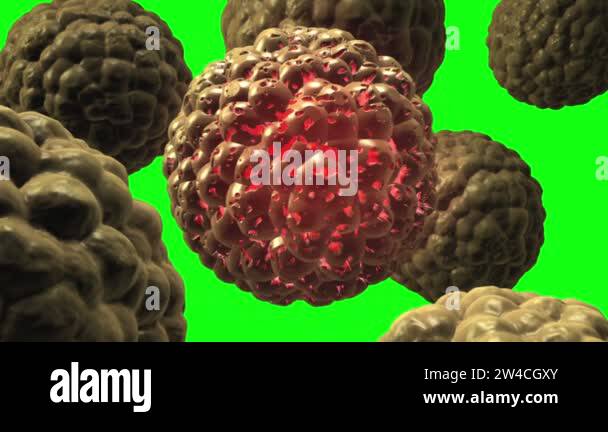 fat cell burning. cell damage. realistic 3d animation, green screen ...