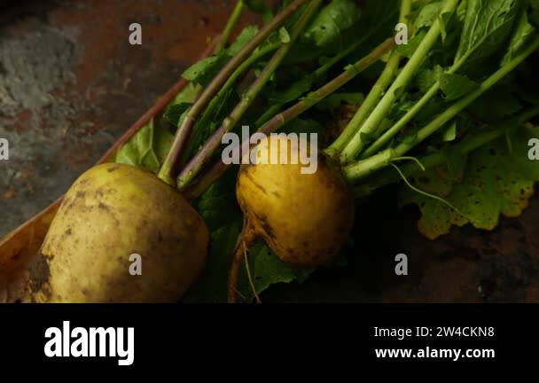 Haulm agriculture Stock Videos & Footage - HD and 4K Video Clips - Alamy
