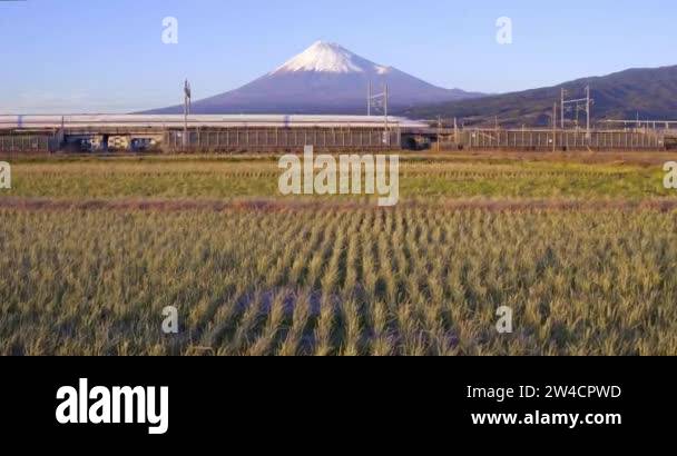 Japan, Honshu, Mount Fuji, Shinkansen Bullet Train passing through ...