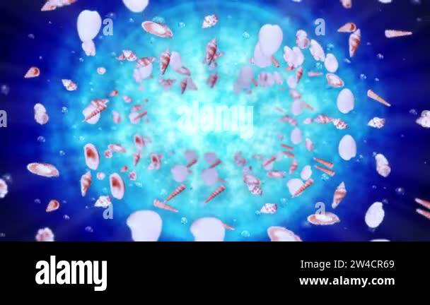 Flying many sea shells in blue water. Collection of realistic shellfish ...