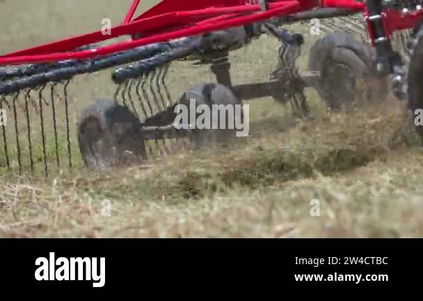 Rotary rakes are sorting out hay into piles. They are oving very fast ...