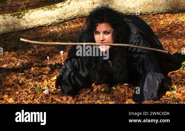 Dark park creeping Stock Videos & Footage - HD and 4K Video Clips - Alamy