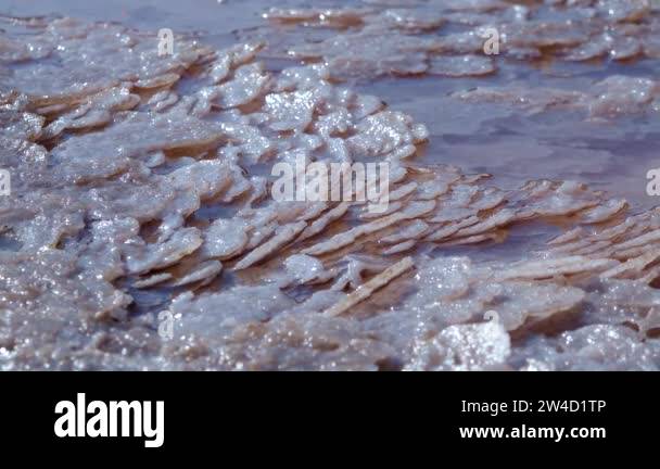 The bottom of a dying estuary, lake. Self-precipitating salt covers ...