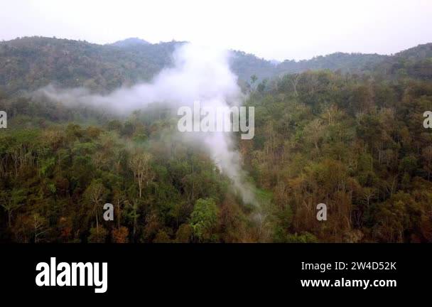 Smog of forest fires. Deforestation and Climate crisis. Toxic haze from ...