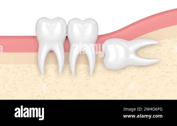 Teeth tooth horizontal Stock Videos & Footage - HD and 4K Video Clips ...