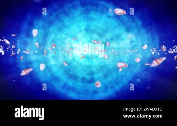 Flying many sea shells in blue water. Collection of realistic shellfish ...