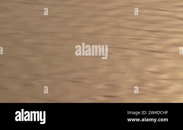 Gold water texture Stock Videos & Footage - HD and 4K Video Clips - Alamy