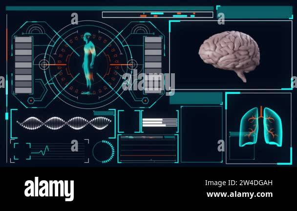 Digital animation of human brain model spinning on medical digital ...
