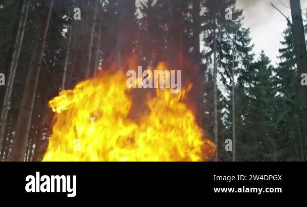 Fire jump rescue Stock Videos & Footage - HD and 4K Video Clips - Alamy
