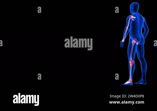 Joint Pain animation from side view. Blue Human Anatomy Body 3D Scan ...