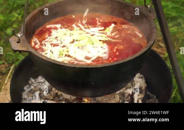 cooking russian national soup borcht from cabbage, carrot, beet root ...