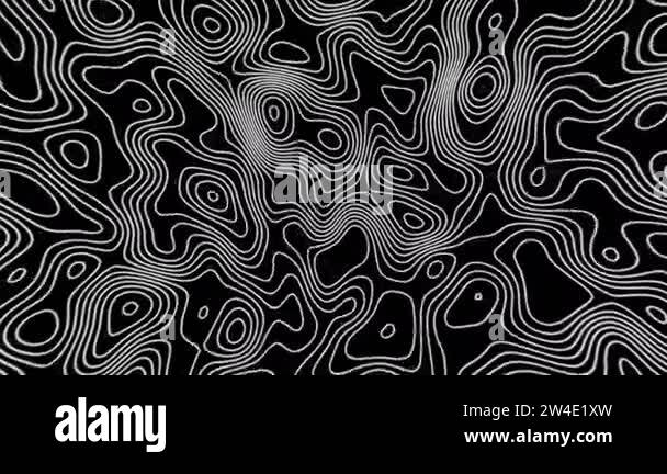 Seamless loop fractal lines background. Topographic map like abstract ...