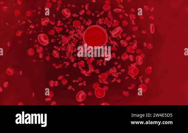Red Blood Cells Flowing Inside Human Vein. Virus Related Health Issues ...