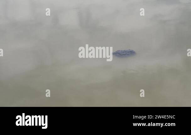 Mechanical floating mess on lavel in sedimentation tank. Collection of ...