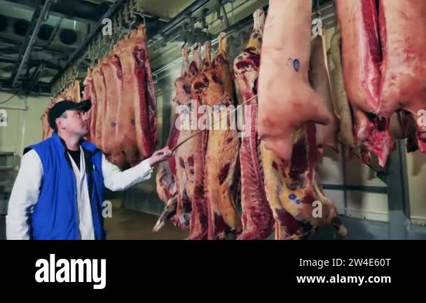 Meat processing factory, food production facility. Plant specialist is ...