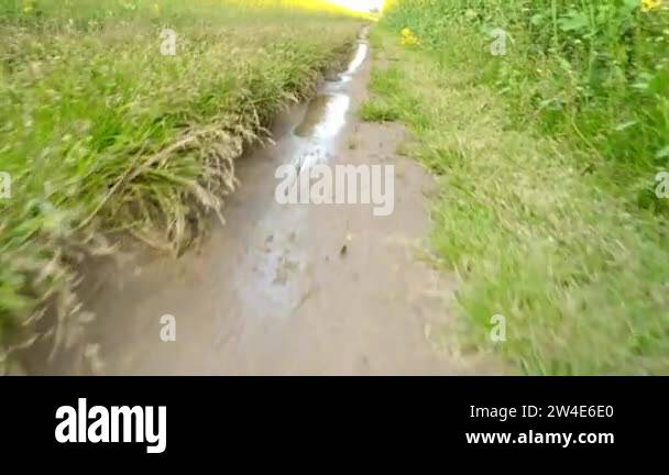Puddle mud tire track Stock Videos & Footage - HD and 4K Video Clips ...