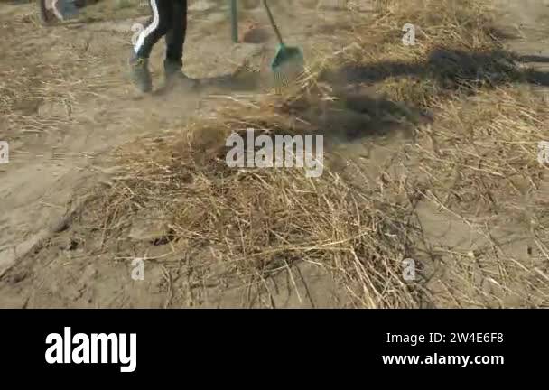 Waste straw Stock Videos & Footage - HD and 4K Video Clips - Alamy