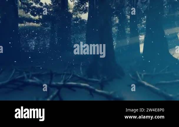 Camera flight through dark spooky forest in winter towards a bright sun ...