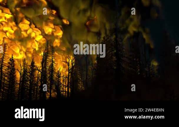 Natural disaster - fire in the forest, emergency situation - burning ...