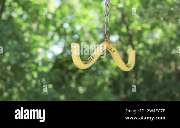 Horizontal hanging Stock Videos & Footage - HD and 4K Video Clips - Alamy