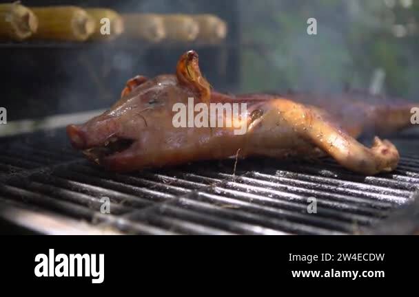 4K, Crispy roasted piglet which are being grilled on barbecue with corn ...