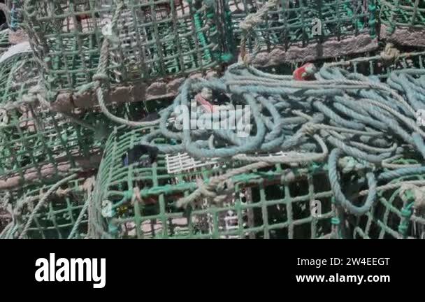 Seashell fishing Stock Videos & Footage - HD and 4K Video Clips - Alamy