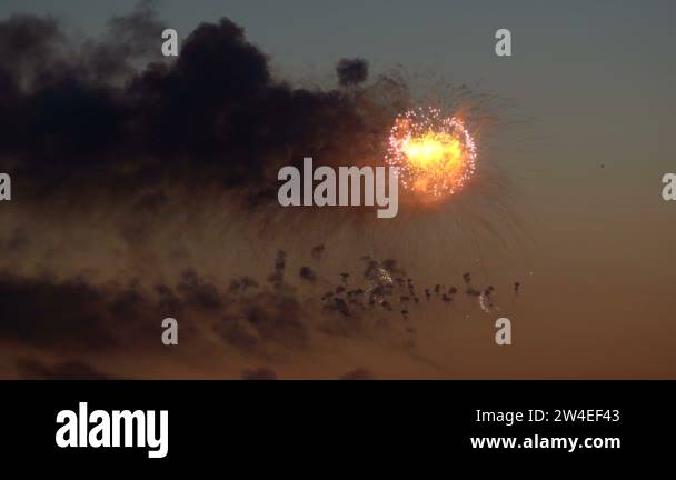 Display birds Stock Videos & Footage - HD and 4K Video Clips - Alamy