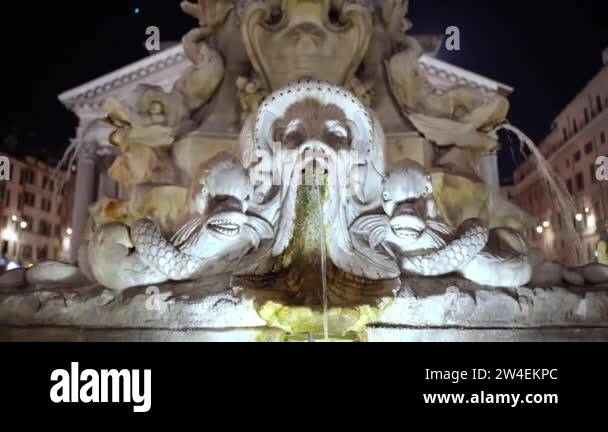 Illuminated animals Stock Videos & Footage - HD and 4K Video Clips - Alamy