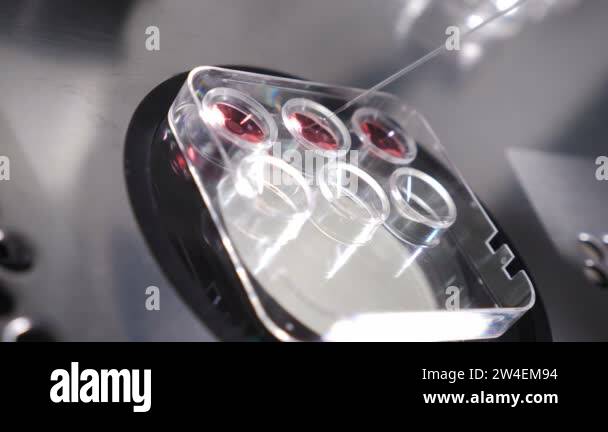 Close-up of filigree laboratory manipulation, moving of embryo from ...