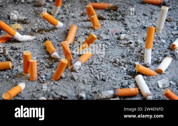 Use litter receptacle Stock Videos & Footage - HD and 4K Video Clips ...