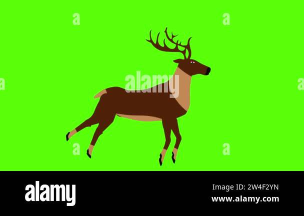 Cartoon Reindeer animation on Green screen Chroma key seamless loop ...
