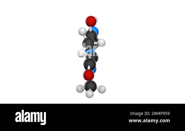 Theophylline (1,3-dimethylxanthine). Used in therapy for respiratory ...