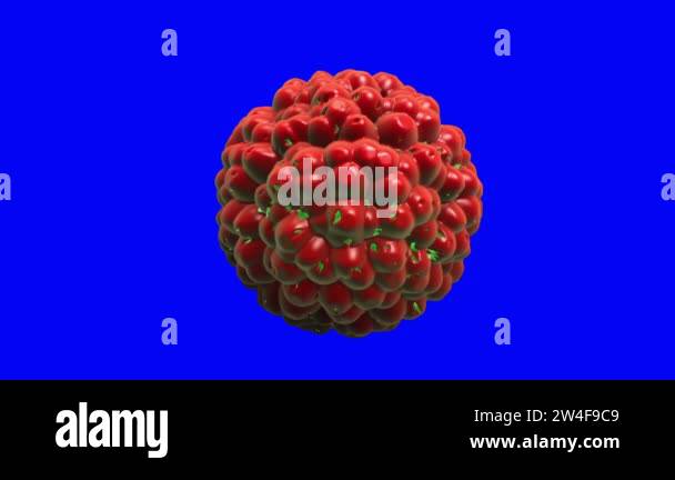 fat cell burning. cell damage. realistic 3d animation, green screen ...