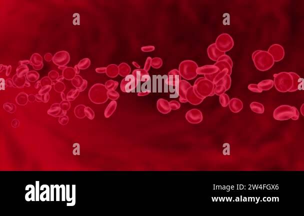 animation of red blood cells flowing through a red tunnel 4K 3D Alpha ...