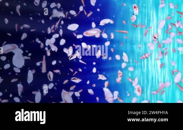 Flying many sea shells in blue water. Collection of realistic shellfish ...