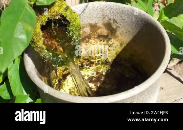 Hot water flowing out of pipe, hot spring water boiling, Beppu, Japan ...