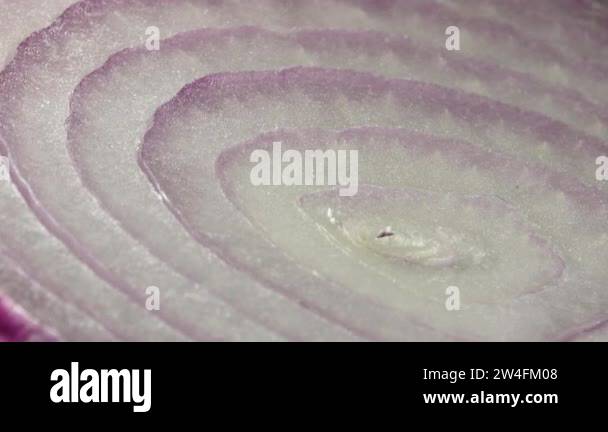 Sliced red onion rings rotating in 4K. Closeup top view of healthy food ...