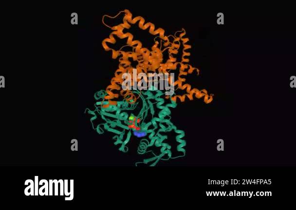 Complex protein molecule Stock Videos & Footage - HD and 4K Video Clips ...