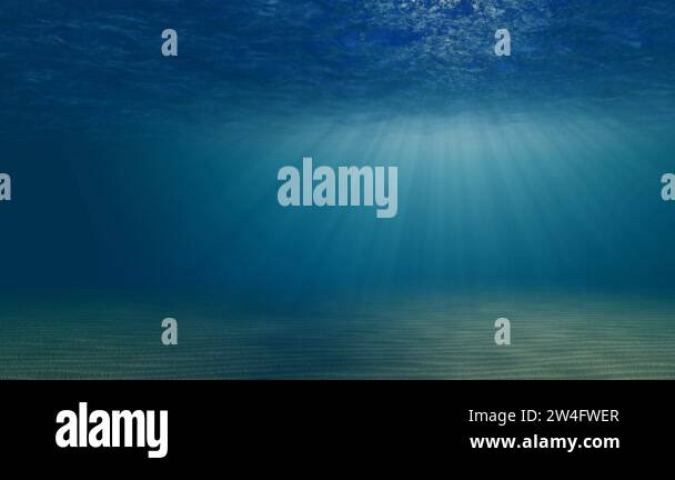 Underwater video loop Stock Videos & Footage - HD and 4K Video Clips ...