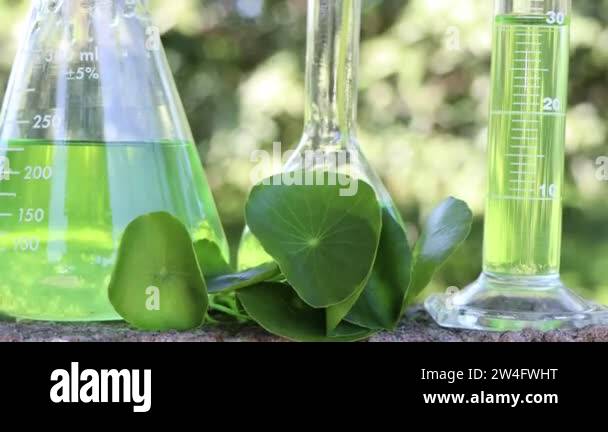 Biological test tubes Stock Videos & Footage - HD and 4K Video Clips ...